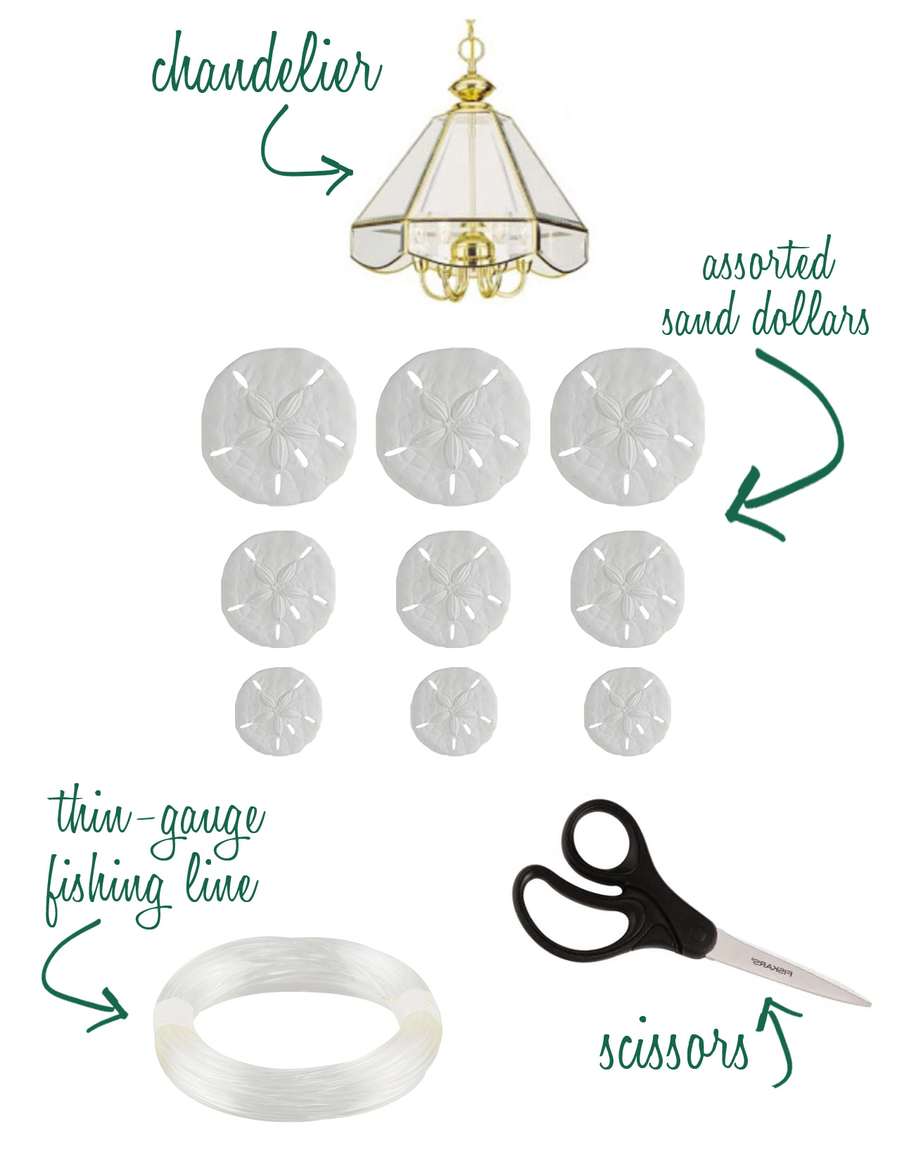 D. I .Y Sand-dollar Chandelier - Chelsea Hill Styles